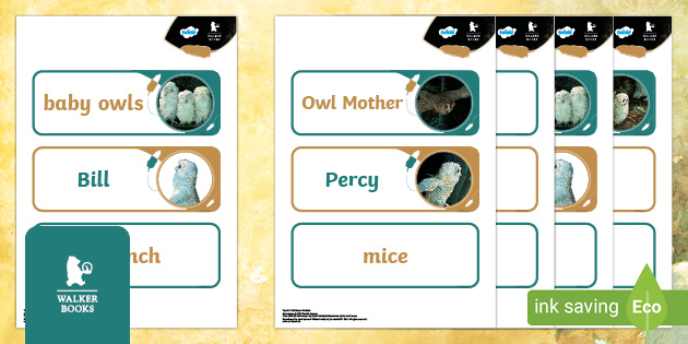 FREE! - Owl Babies Word Cards | Primary Resources | Twinkl
